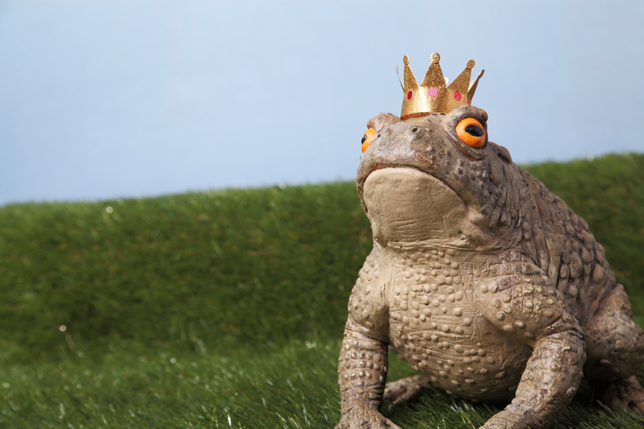 From Princes to Frogs: New Leadership Models